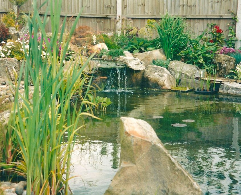 Need some inspiration? – Ian Chatten